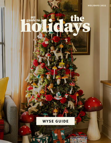 Products – Wyse Guide